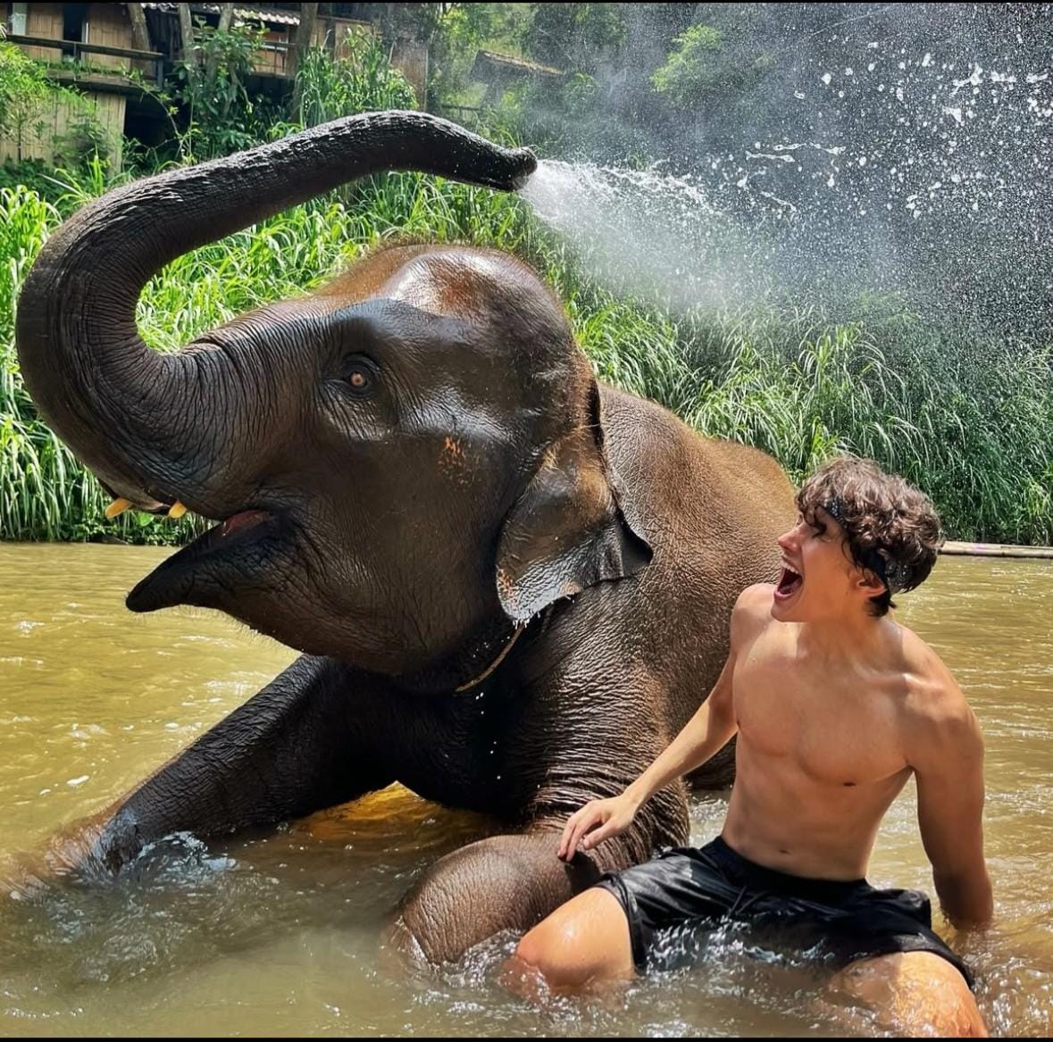 Thailand: Elephant Adventure with Fonsi Abroad