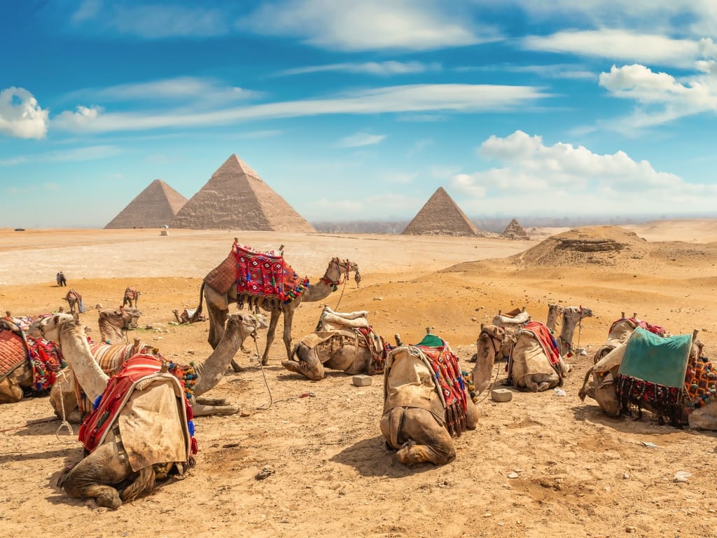 Egypt with Two Guys on a Plane