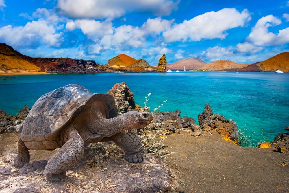 The Galápagos Islands with Beth Ott